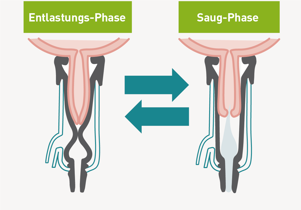 Erfolgreiches Melken: ausgezeichnete Melkverfahren - Achieve Better ...