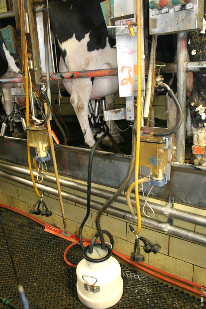 Wat te doen als het misgaat in de melkstal - Samen gaan we voor betere melk